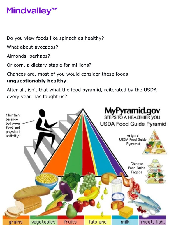 Mindvalley: 🥑 The Food Pyramid Lie | Milled