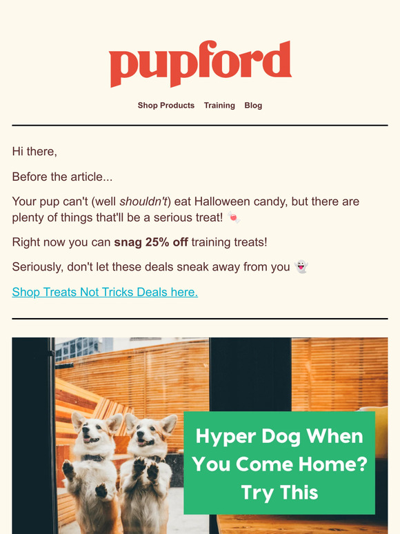 Pupford LLC: [article] Is Your Dog Hyper When You Get Home? Try This ...