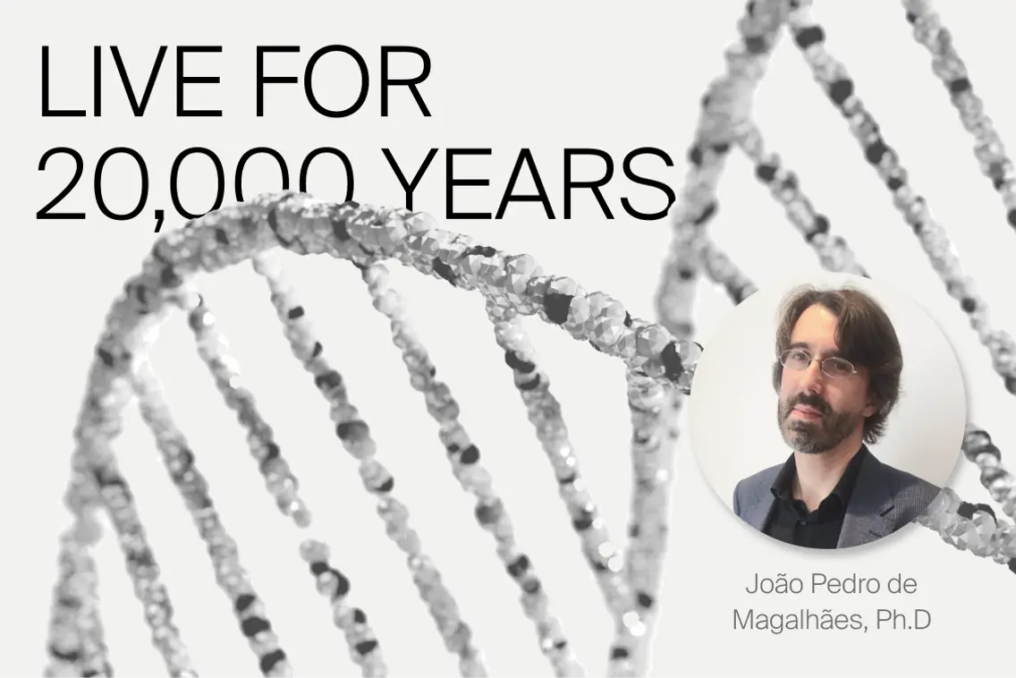 Timeline Nutrition: Zombie Cells Are Aging Us. Here’s How to Slay Them ...