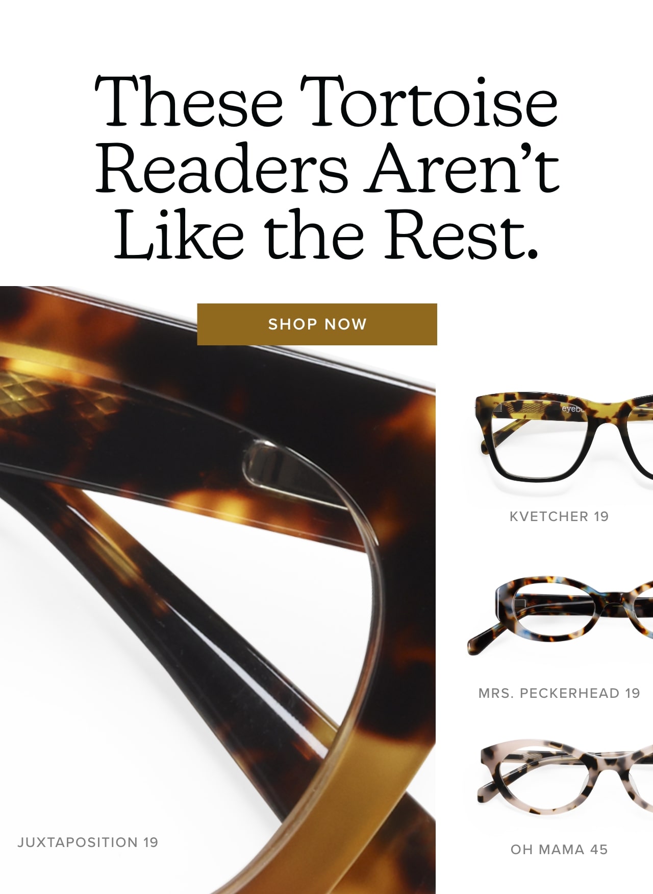 eyebobs: Tortoise readers like you've never seen them😵🐢 | Milled