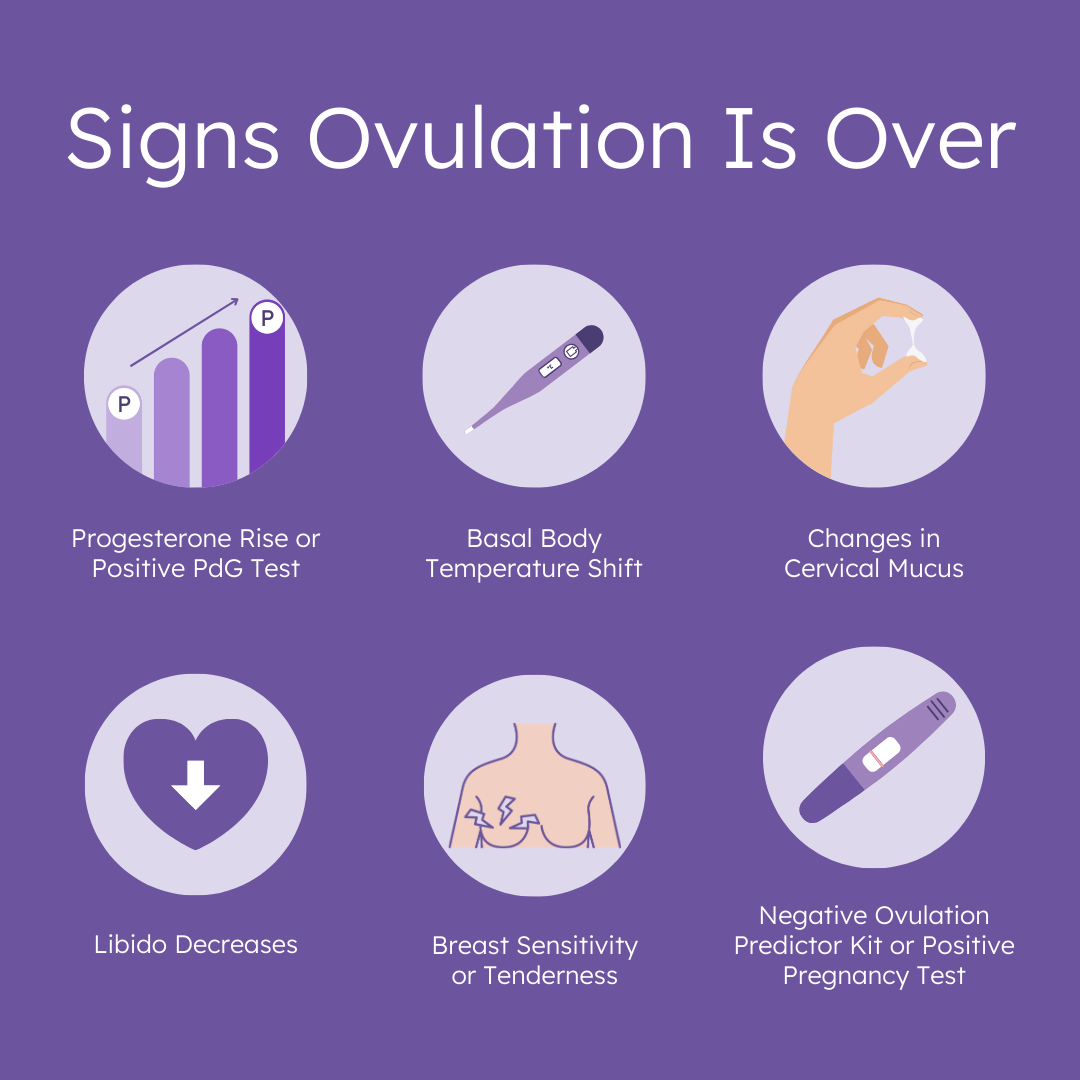 Proov: Spotting Ovulation's Exit: The Signs You Need to Know! | Milled