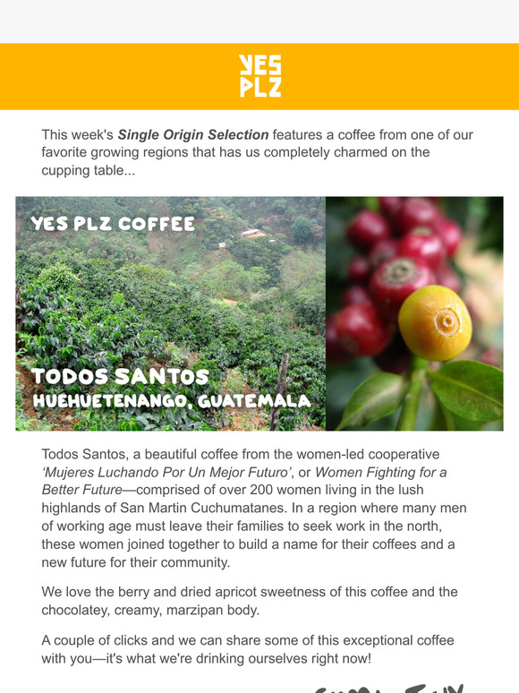 Yes Plz Coffee: Taste a sweet stunner from Huehuetenango | Milled