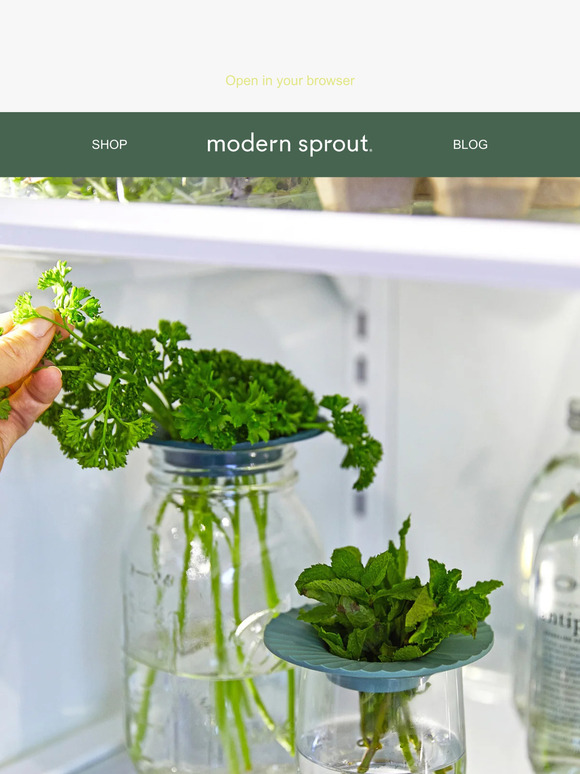 Modern Sprout LLC: Want Produce To Linger Longer? Open For the Secret ️ ...