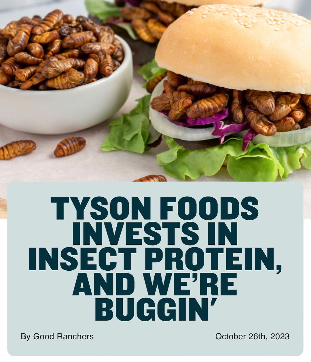 Good Ranchers: Tyson Foods Invests In Insect Protein 🐛 | Milled