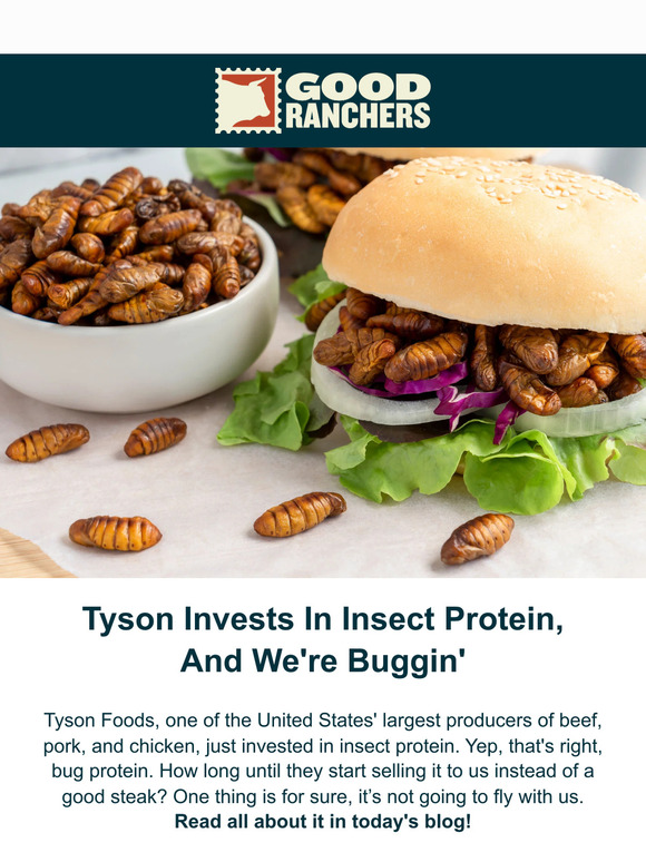 Good Ranchers: Tyson Foods Invests In Insect Protein 🐛 | Milled