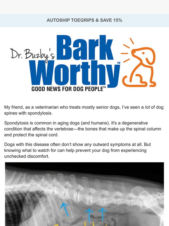 Dr. Buzby's ToeGrips: What is spondylosis in dogs? | Milled