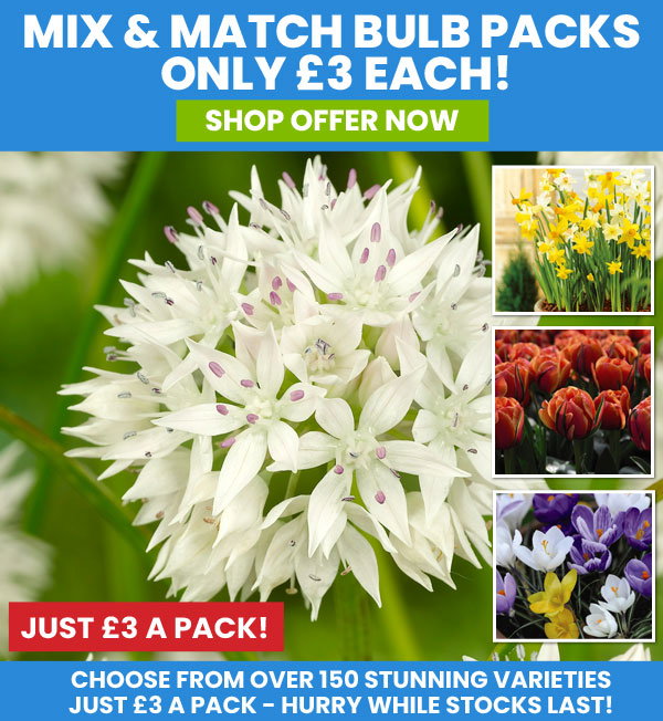 Suttons Seeds: Only £3! Mix & Match Bulb Packs LAST 48 HOURS! | Milled