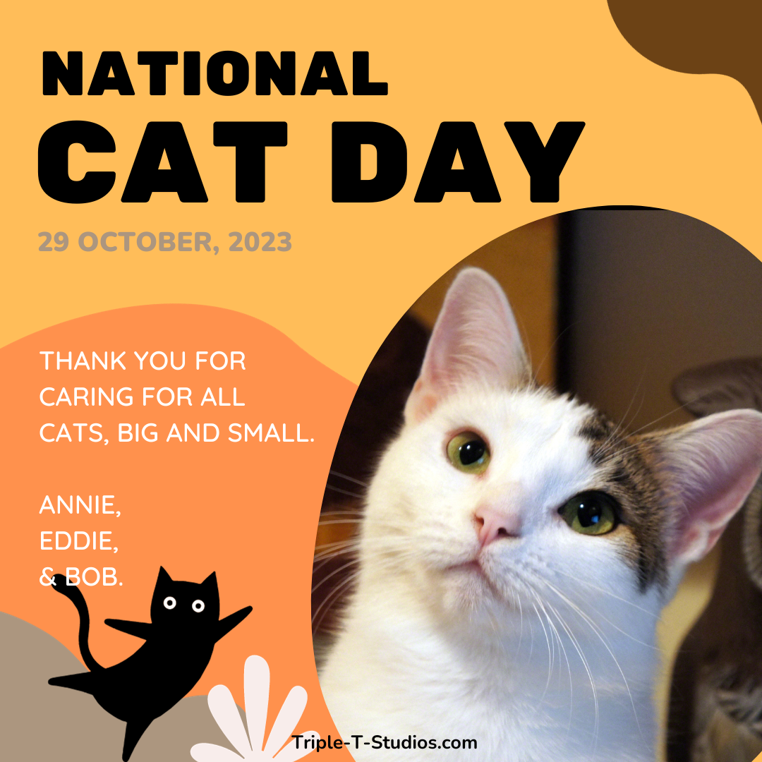 Triple T Studios: Happy National Cat Day 🐈 | Milled