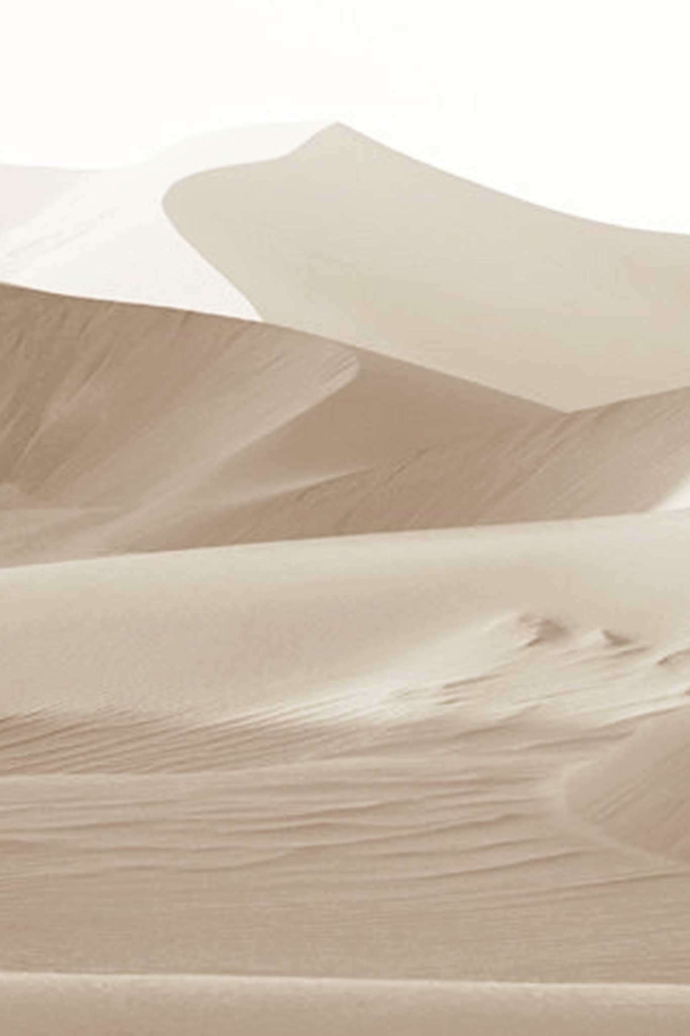 Stone.kin: Colour focus - Bone | Milled