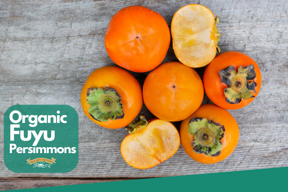 Frog Hollow Farm: Organic Fuyu Persimmons! In Season! 🧡 | Milled