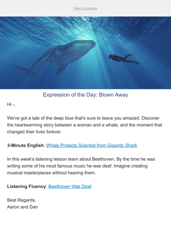 True Stories English Fluency Course: 3-Min English: Whale Protects ...