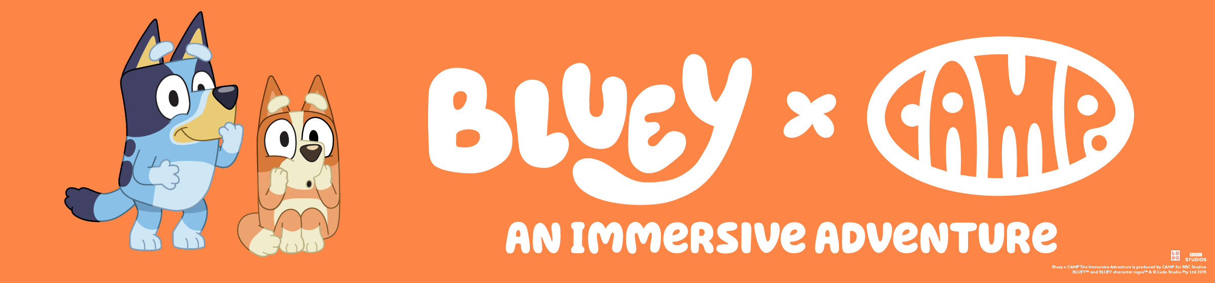 CAMP: NEW AT CAMP The Bluey Collection | Milled