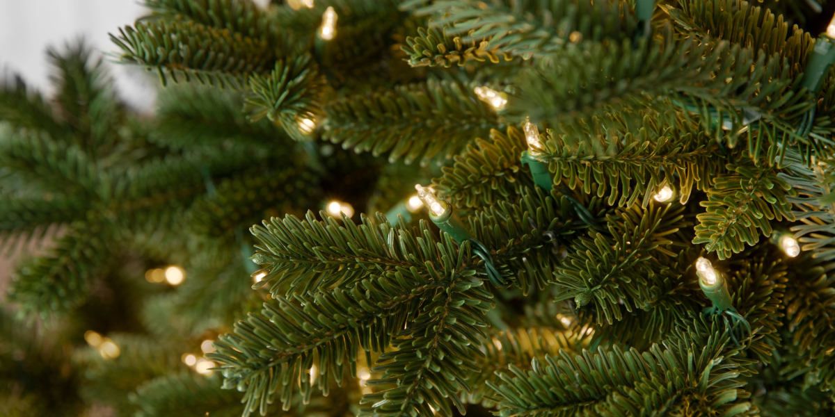 Balsam Hill: Lights on! Brighten every festive moment | Milled