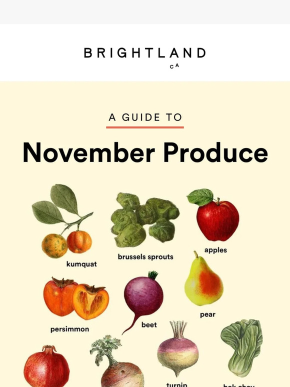 Brightland: Your Guide to November Produce 🍎 | Milled