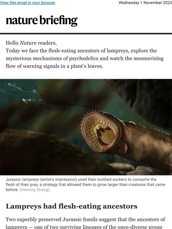 Nature Journal: Watch the mesmerizing flow of warning signals across a ...