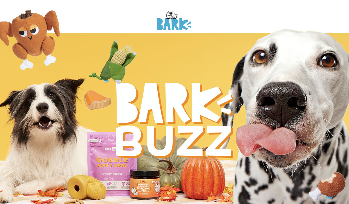 BarkBox: *shhh* you’re being too loud. | Milled