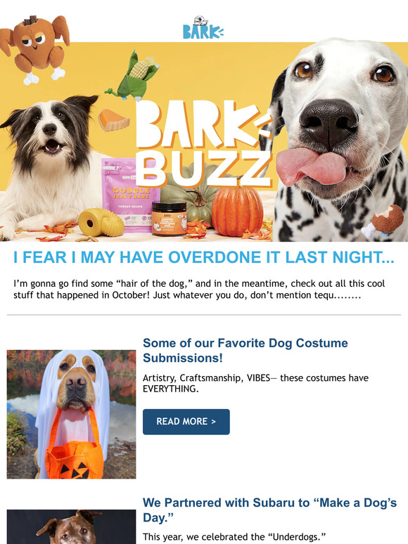 BarkBox: *shhh* you’re being too loud. | Milled