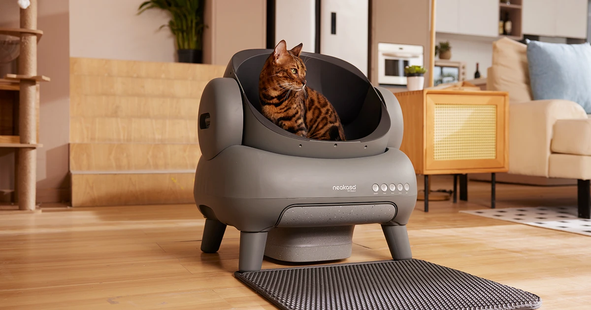 Indiegogo: This open-top self-cleaning litter box will work with even ...