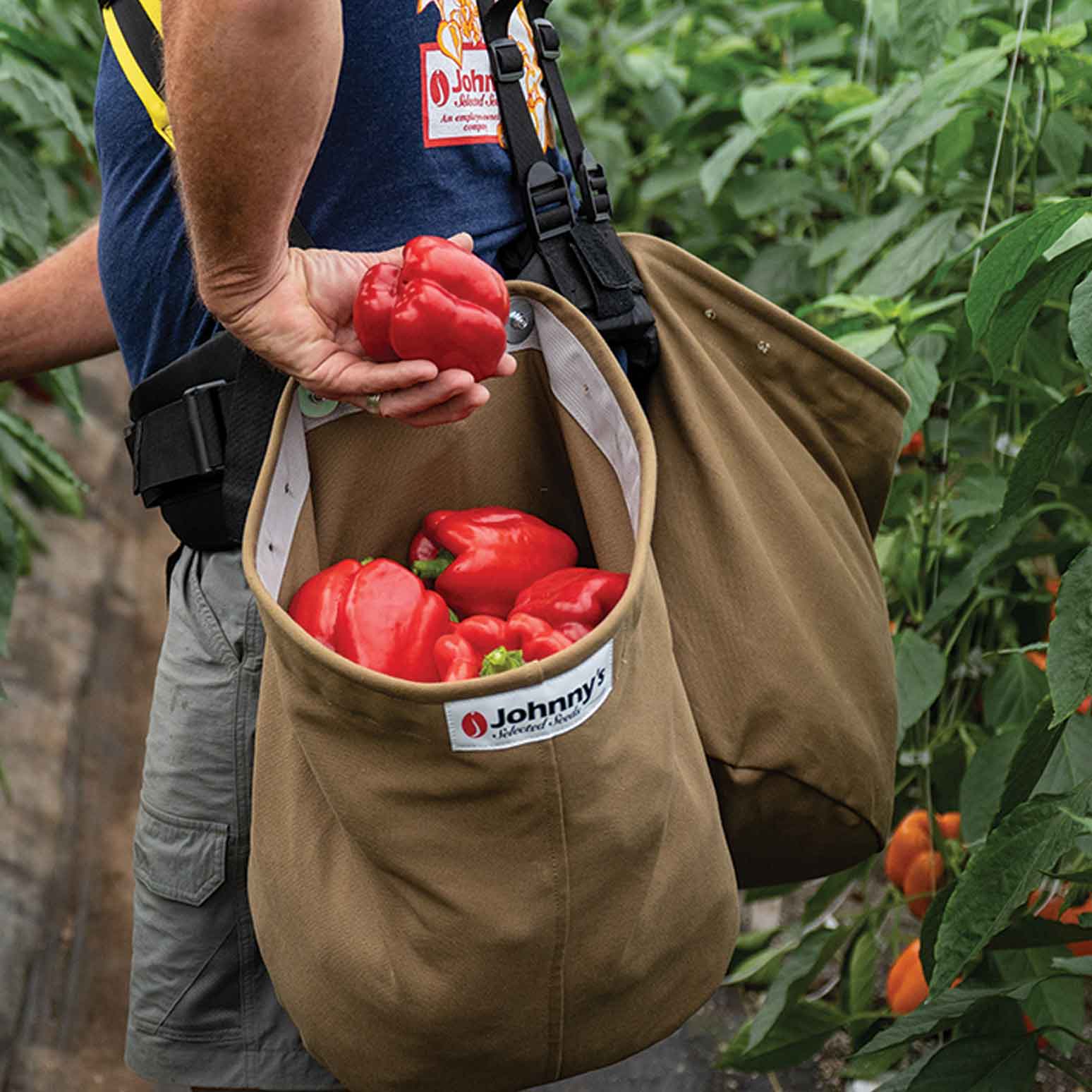 Johnny's Selected Seeds: New 2024 Digital Catalog | Milled