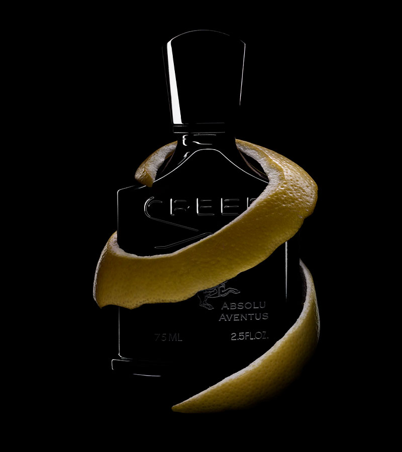 Creed: Absolu Aventus | A Unique Masterpiece Of Interpretation And ...