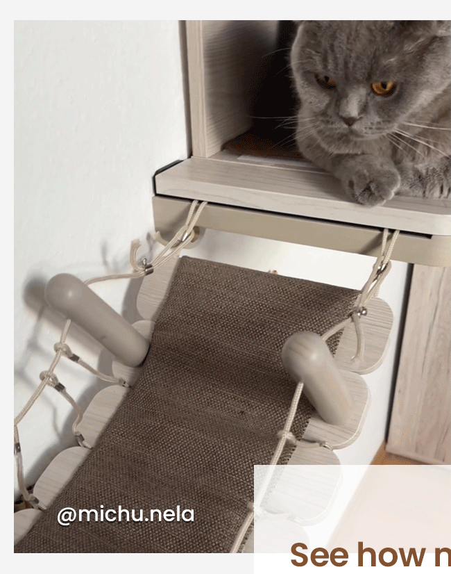SONGMICS: Find out why influencers love Clickat for their cats | Milled