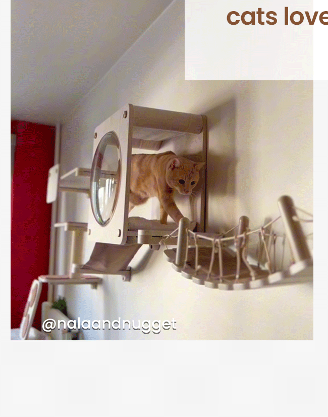 SONGMICS: Find out why influencers love Clickat for their cats | Milled