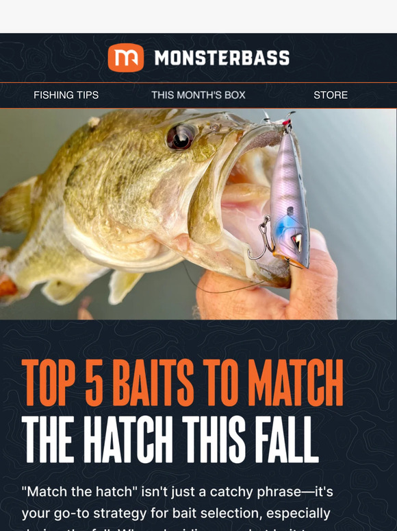 MonsterBass: Top 5 baits To Match The Hatch This Fall | Milled