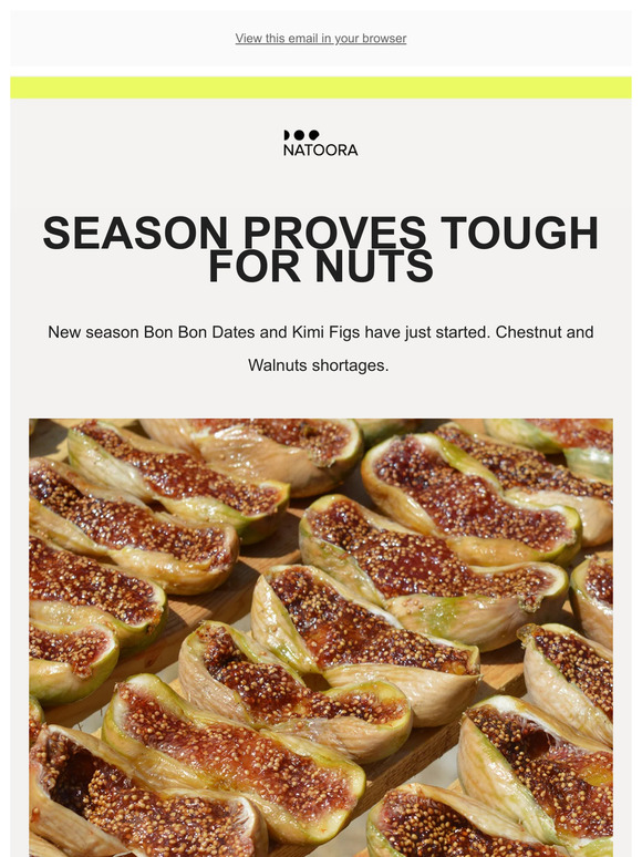 Natoora: Bon Bon Dates Are Back | Milled