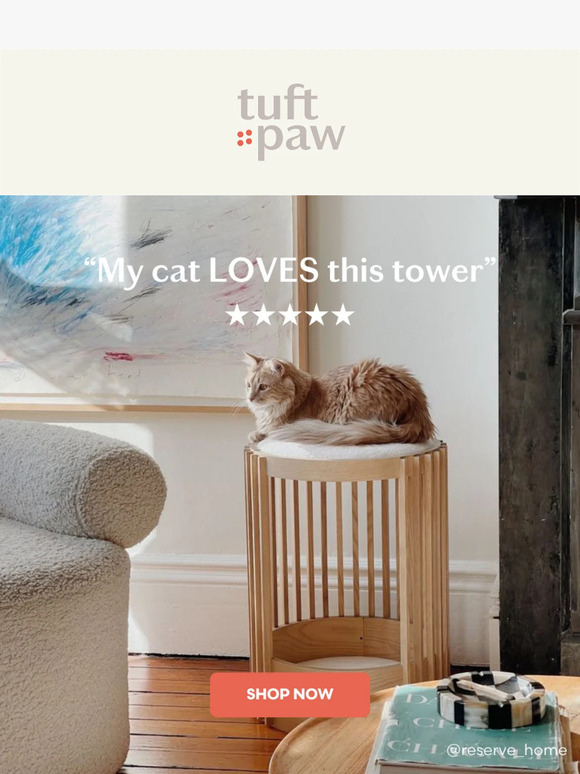 Tuft and Paw: Why these cat trees are #1 🥇 | Milled
