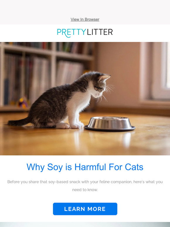 Pretty Litter: ⚠️ The dangers of feeding soy to cats ⚠️ | Milled