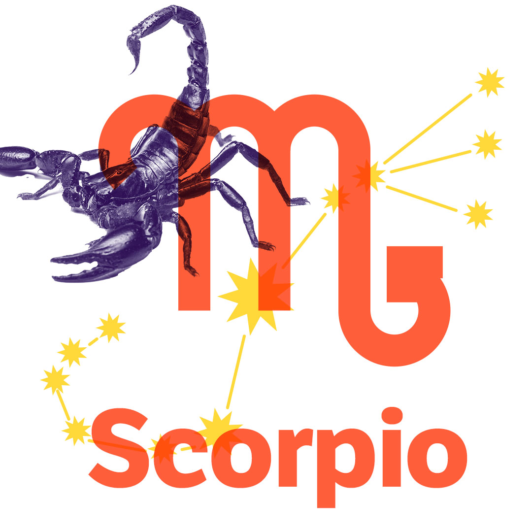 Dictionary.com: 🦂 Scorpio SZN: What Words Match Their "Sting"? | Milled
