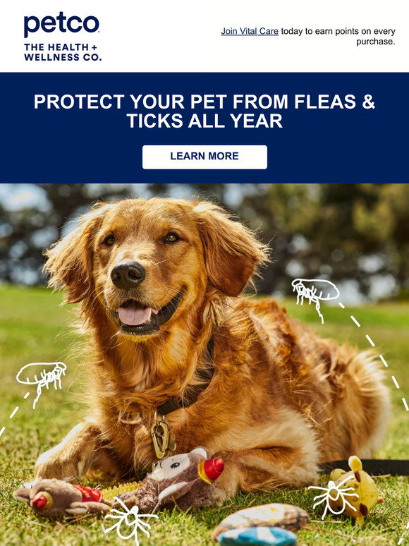 Petco: Here's a $10 reward for protecting your pet from fleas & ticks ...