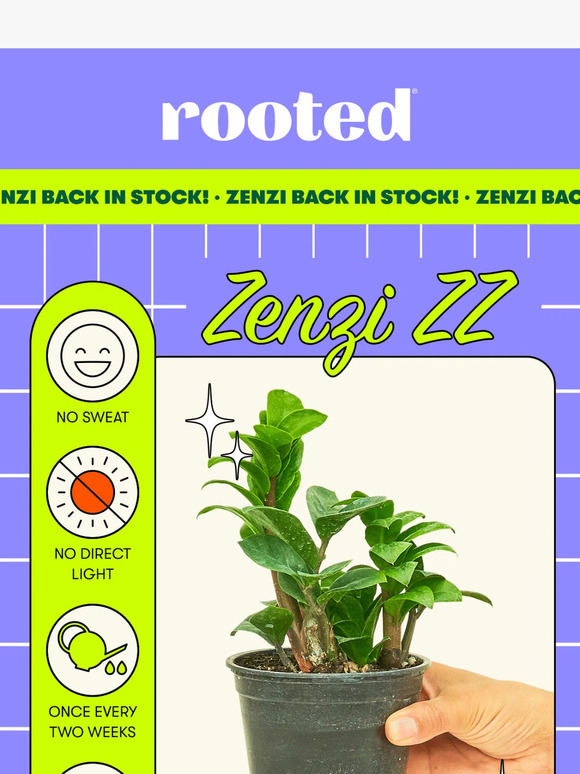 Rooted: You'll want to catch these ZZZ's 💤 | Milled