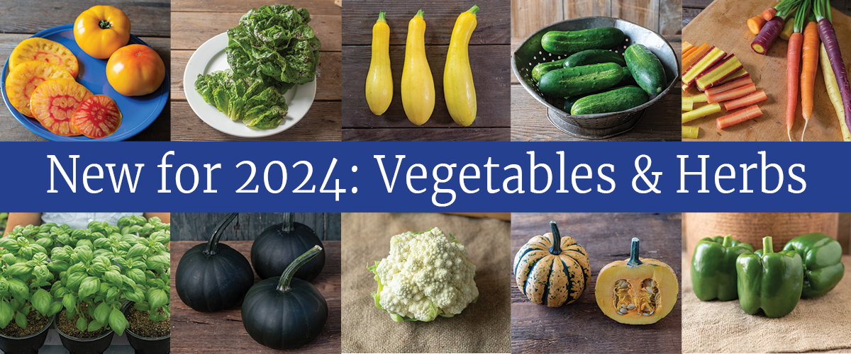 www.johnnyseeds.com: Free Webinar: Top New Vegetables & Herbs for 2024 ...