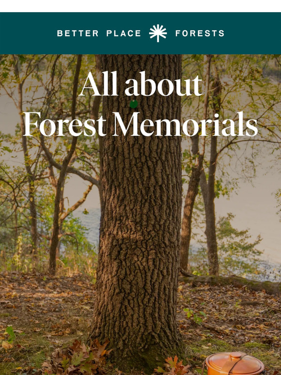 Better Place Forests: How does a Forest Memorial work? [Photos inside ...