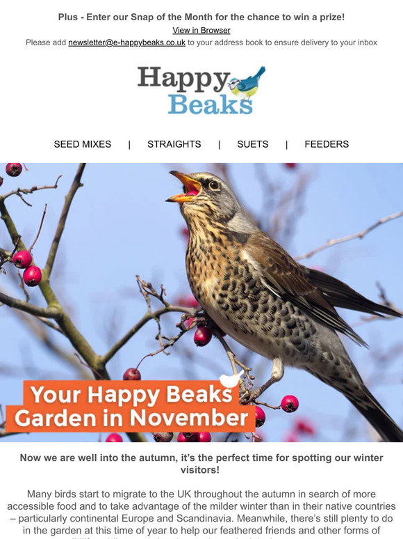 Happy Beaks: Your Happy Beaks Garden in November | Milled