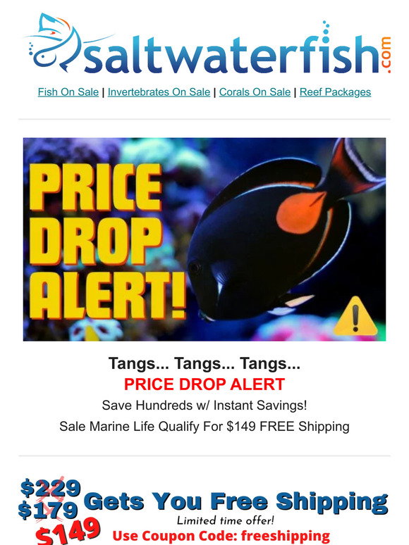 Salt Water Fish: 🐠 Tangs... Tangs... Price Drop Alert! | Milled