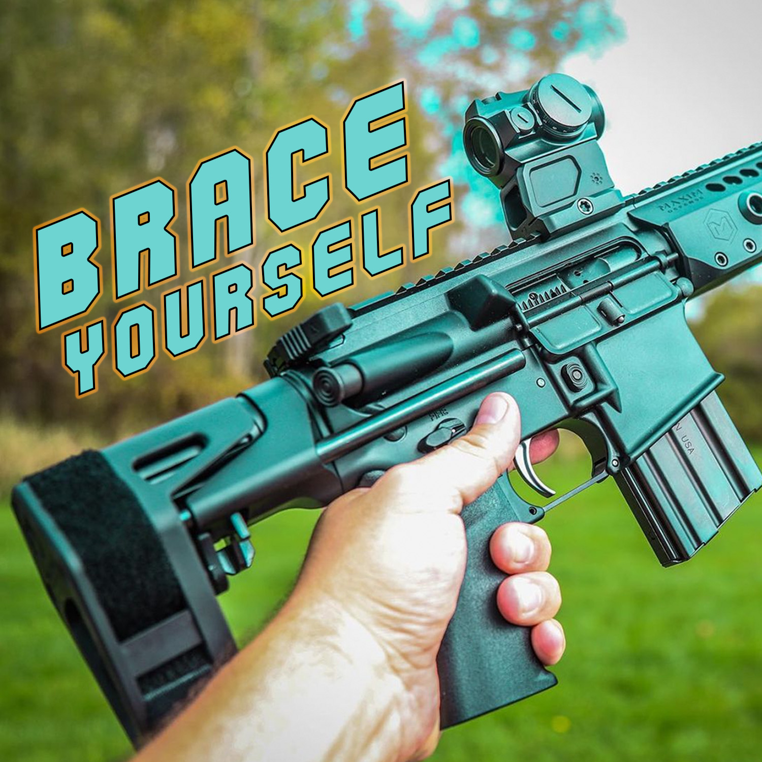 Rainier Arms: Put yo' Brace to yo' Face! Pistol Brace Injunction Issued ...