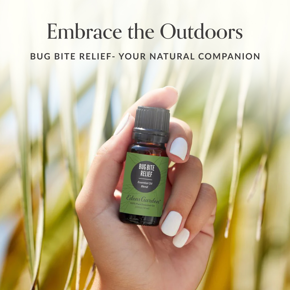 Edens Garden: Bug Bites? Heal Them Faster With This Essential Oil | Milled