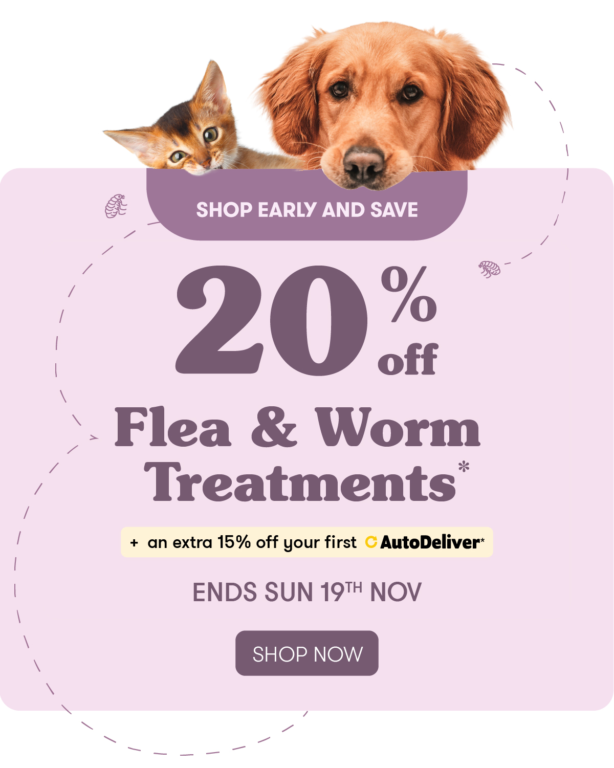 Pet Direct NZ: 20% OFF Flea & Worm | Say Goodbye To Those Pesky ...