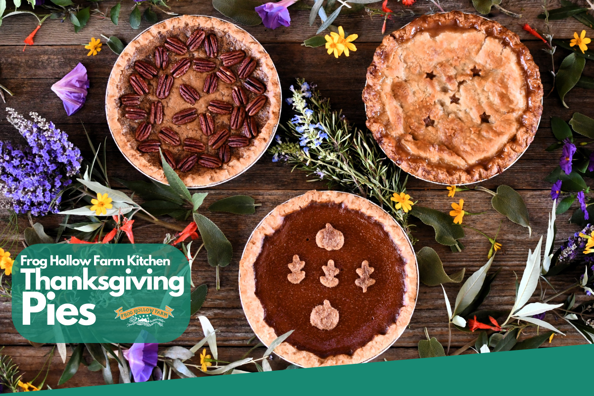 Frog Hollow Farm: The Easiest (And Most Delicious) Thanksgiving Pies! 🥧 ...