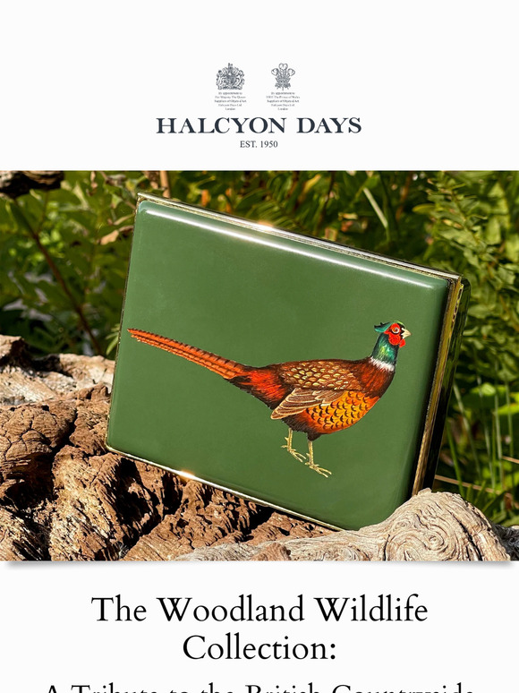Halcyon Days: Explore this Season's New Enamel Boxes | Milled