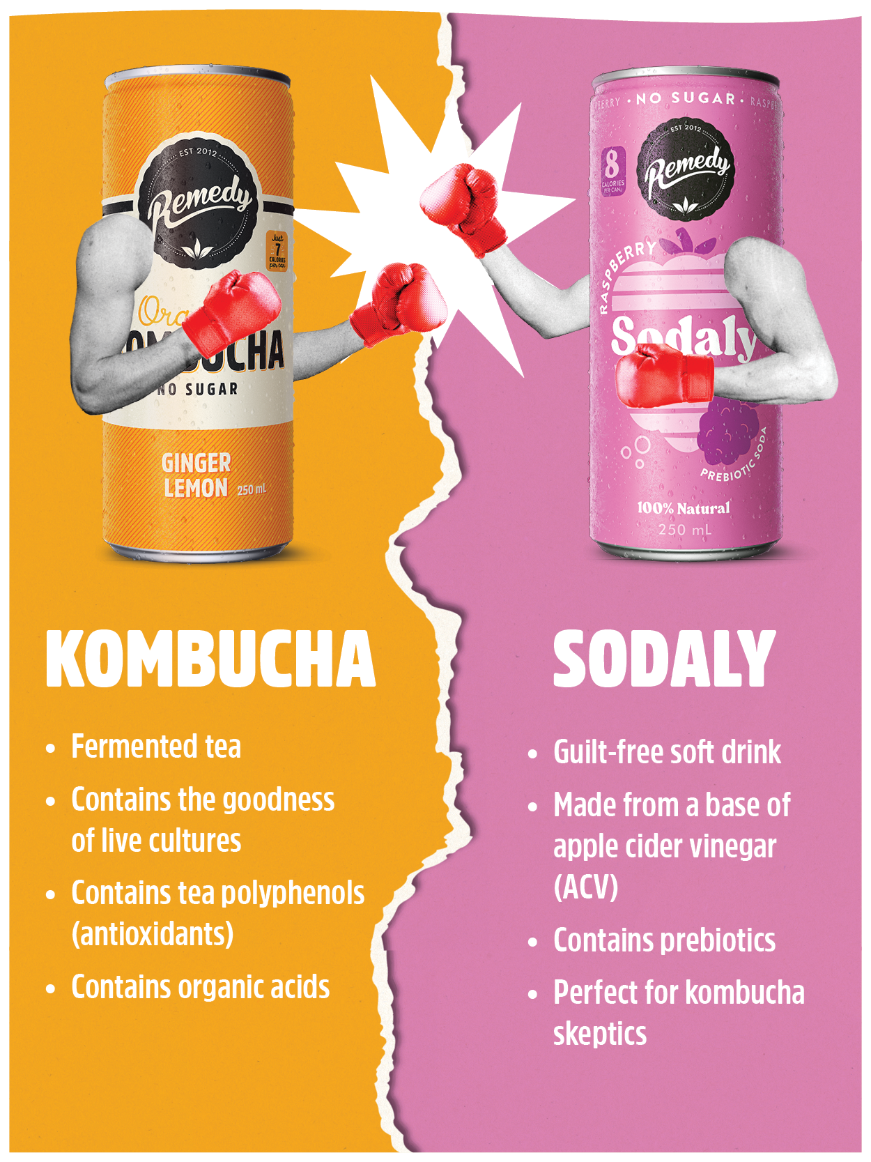 Remedy Drinks: Kombucha VS Sodaly 🥊 What's the difference? | Milled