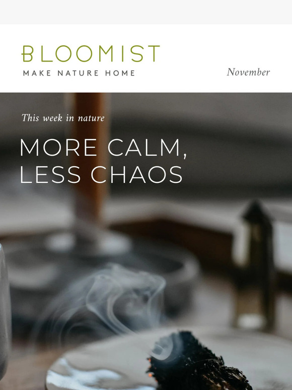 Bloomist: Positive New Rituals + Mindful Gifts | Milled