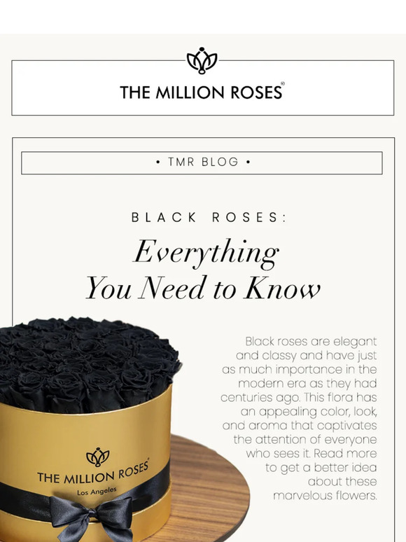 The Million Roses: 🖤 Explore the Elegance of Black Roses | Milled