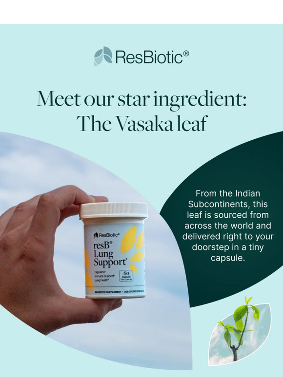 ResBiotic: This plant gives 7 crucial benefits for lung health | Milled