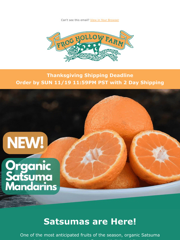Frog Hollow Farm: Organic Satsuma Mandarins are Here! 🥳🍊 | Milled
