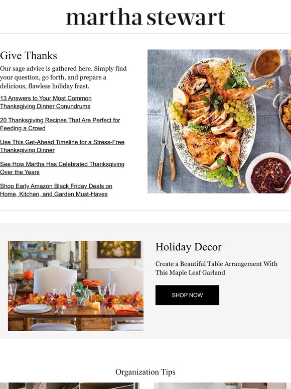 Martha Stewart: Answers to Your Most Common Thanksgiving Dinner Conundrums | Milled