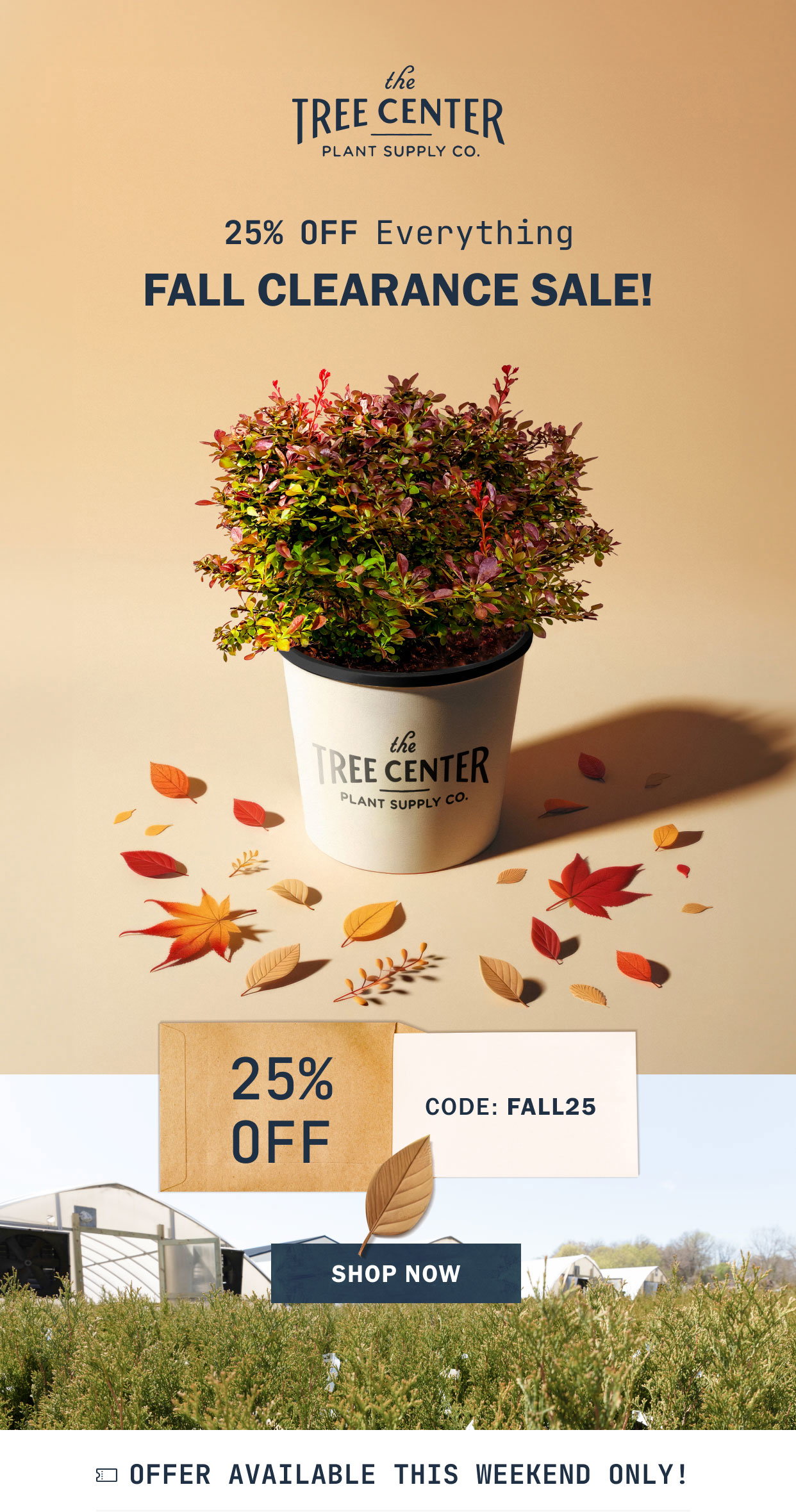 The Tree Center: Fall Clearance Sale - 25% OFF All Weekend! | Milled