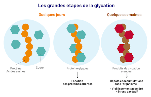 Cellinnov: Vieillir : comment conserver votre autonomie ? | Milled